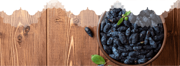 Immunity Supplement – Haskapower
